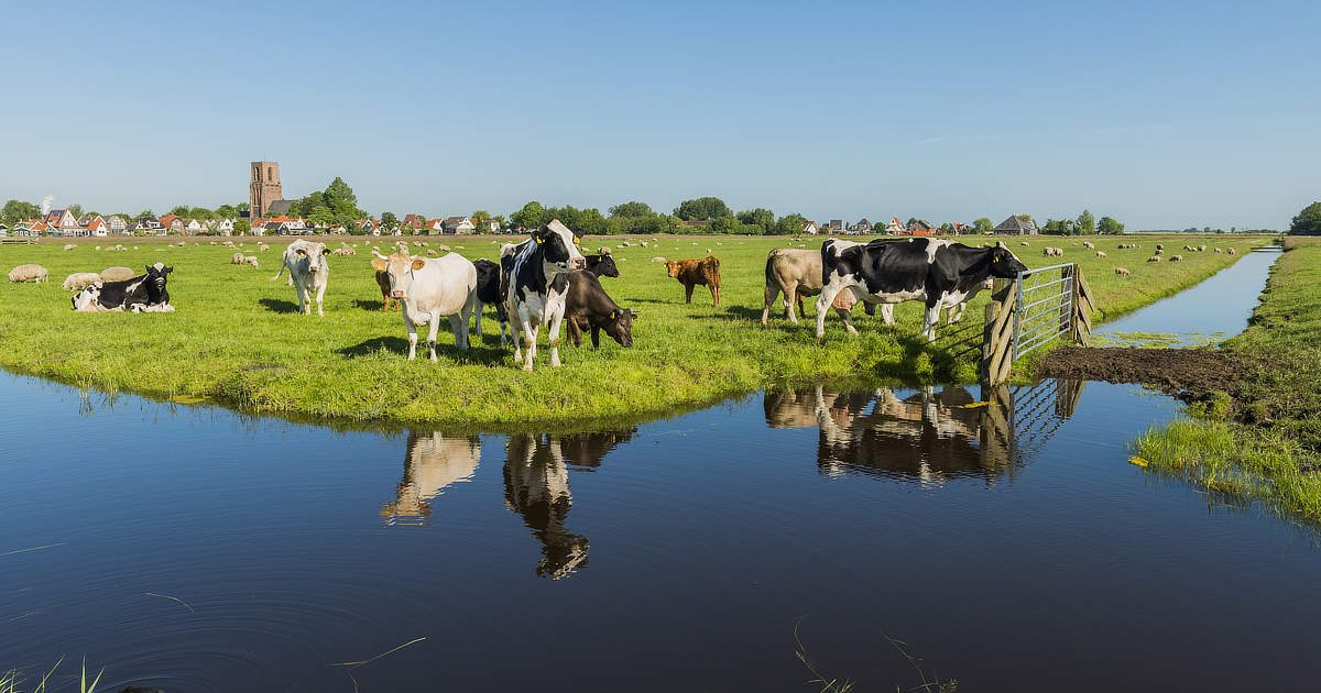 Noord-Holland, een provincie met veel afwisseling » Reisdesk